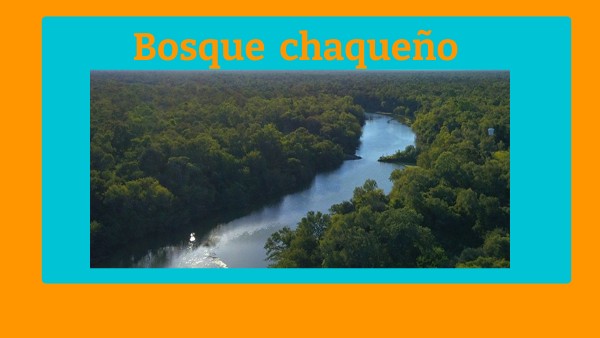 BOSQUE CHACEÑO | Genially