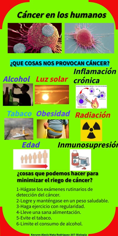 Cáncer En Los Humanos