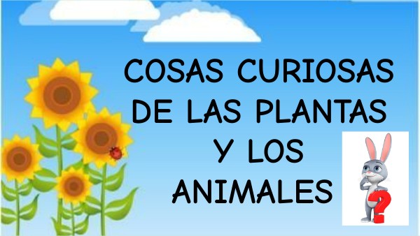 CICLO DE VIDA DE LOS ANIMALES Y LAS PLANTAS