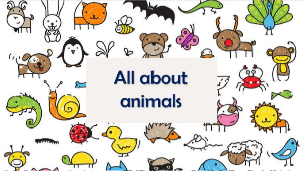 All about animals | Genially