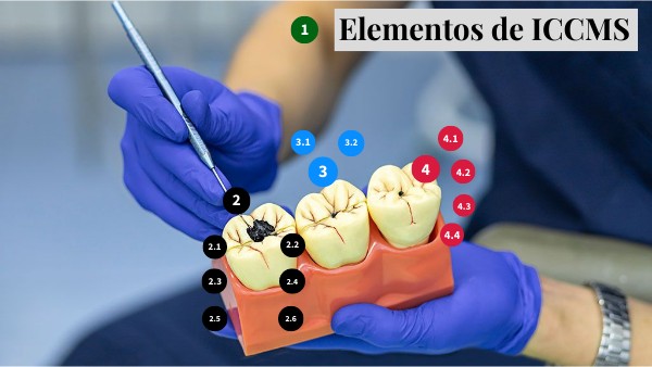 ELEMENTOS DE ICCMS | Genially
