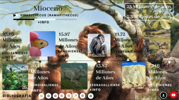 MIOCENO Y SUS DIVISIONES