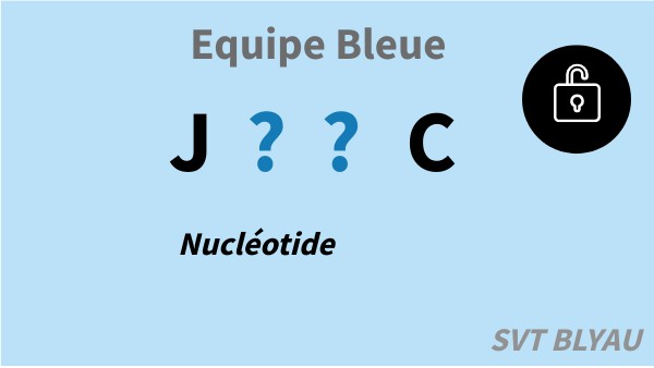 Escape ADN equipe bleue
