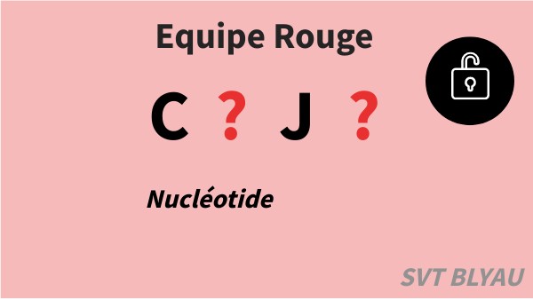 Escape ADN equipe rouge