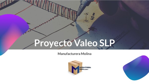 Proyecto Valeo SLP