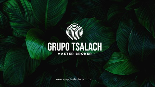 Grupo Tsalach | BOOKLET