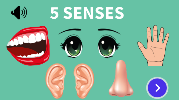 5 SENSES | Genially