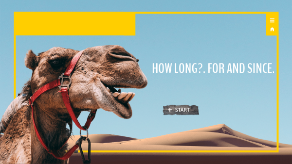 HOW LONG, FOR AND SINCE | Genially