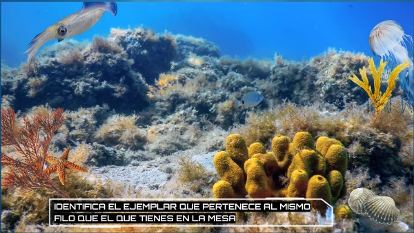 ESTACIÓN 3 | Genially