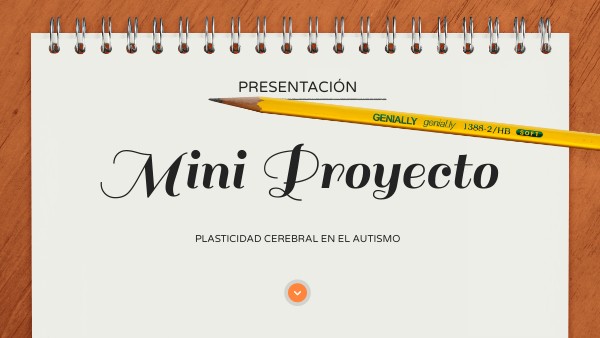 PRESENTACIÓN MINI PROYECTO