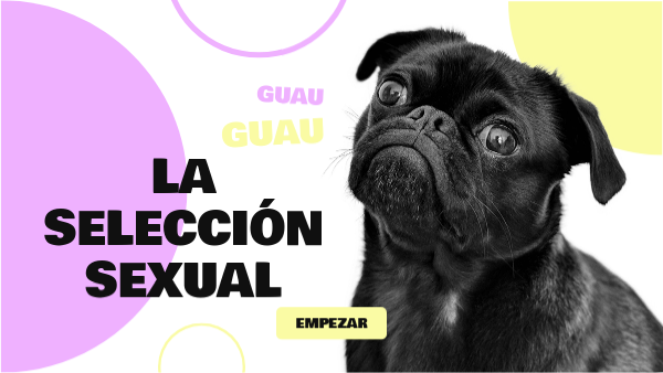 La selección sexual | Genially