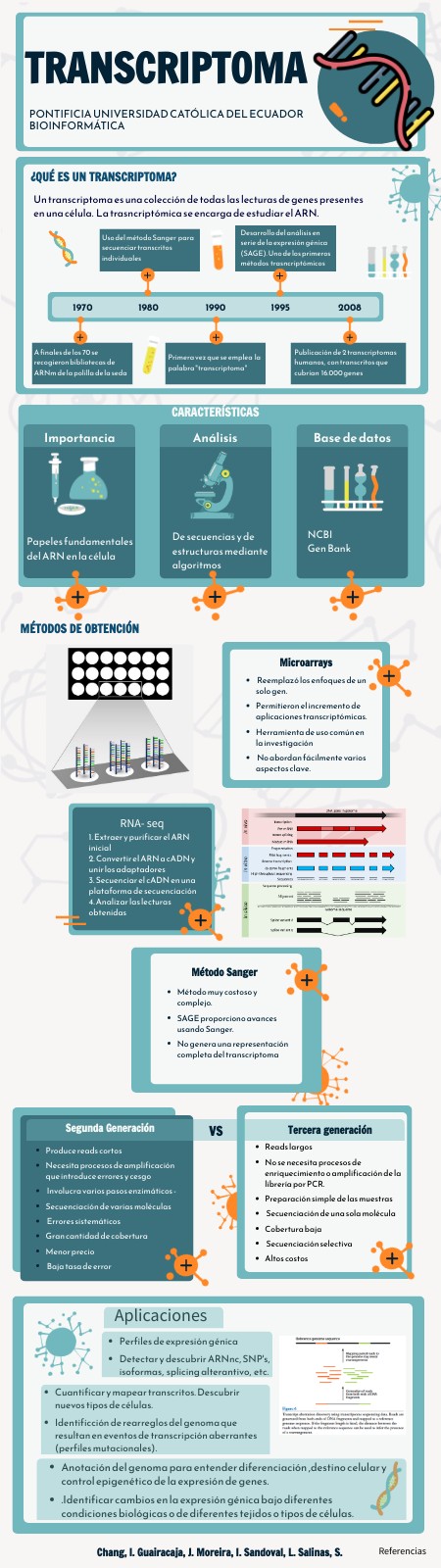 Infografía Transcriptoma