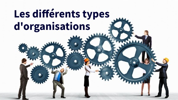 Les différents types d'organisation | Genially