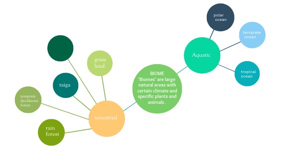 MAPA MENTAL CIRCULAR ESQUEMA | Genially