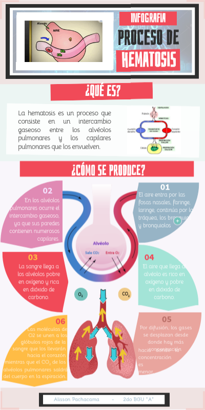 Hematosis | Genially