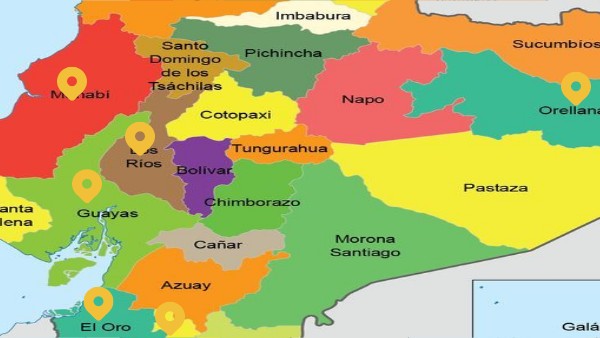 PRESENTACIÓN PIZARRA ANIMADA | Genially