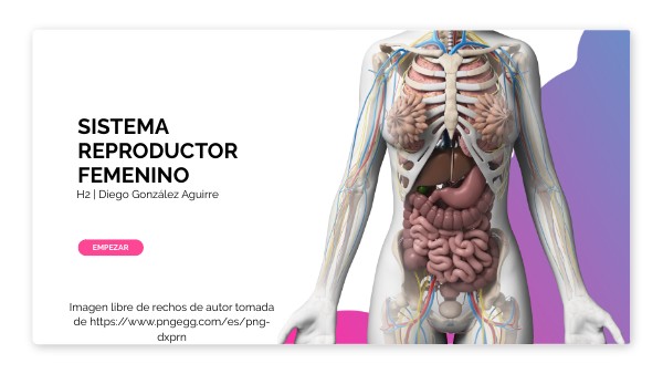 Histología de sistema Reproductor Femenino | Genially