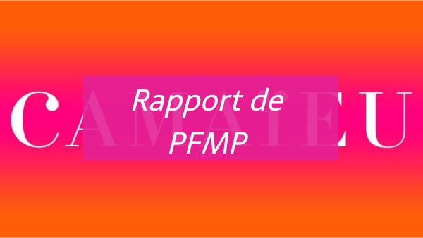 SIMPLE REPORT | Genially