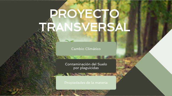 PRESENTACIÓN PROYECTO TRANSVERSAL