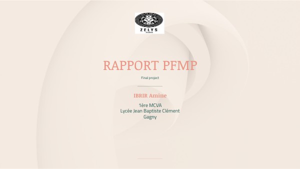rapport de PFMP