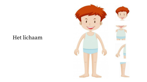 Het lichaam | Genially