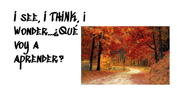6º Veo, pienso, me pregunto, que voy a aprender