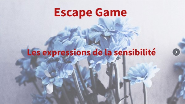 Escape Game les expressions de la sensibilité