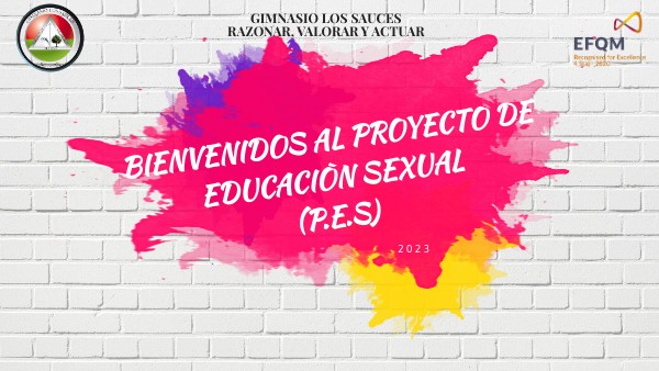 PRESENTACIÓN PES GUÍA 1 - 2023 | Genially