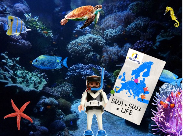 SW1 + SW2 = LIFE | Genially