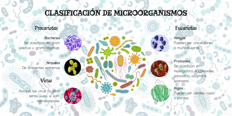 Clasificación de los microorganismos | Genially