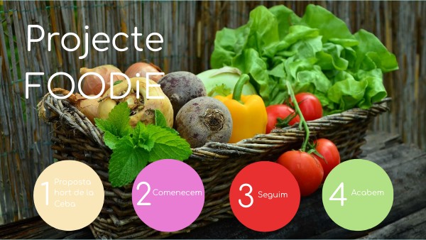 Projecte Foodie