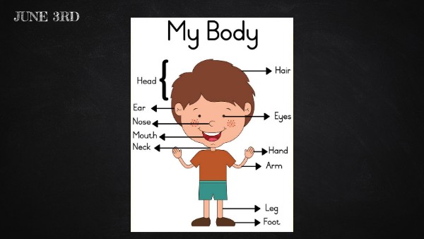 MY BODY | Genially
