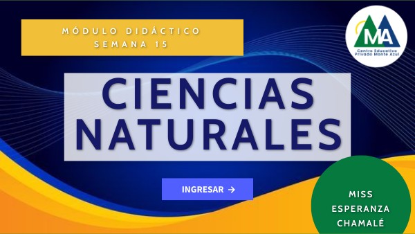 CCNN - S15 - M15 - 2o | Genially