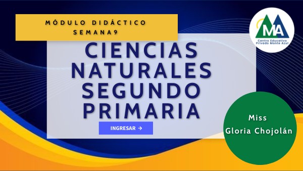 CCNN - S9- M9 - 2o | Genially