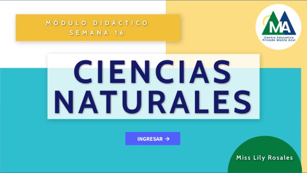 CCNN - S16 - M16 - 5o