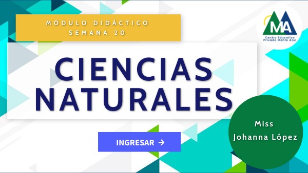 CCNN - S20 - M20 - 3o