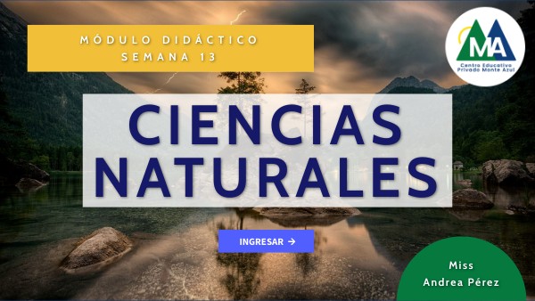 CCNN - S13 - M13 - 5o | Genially