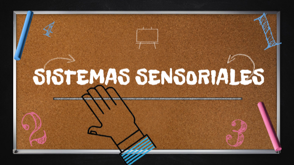 sistemas sensoriales | Genially