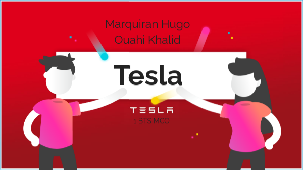 TESLA CORPORATE CULTURE