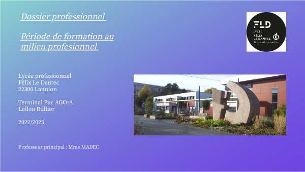 Copie - BASIC DIGITAL PRESENTATION