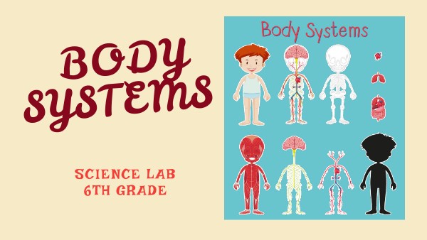 PRESENTACIÓ BODY SYSTEMS | Genially