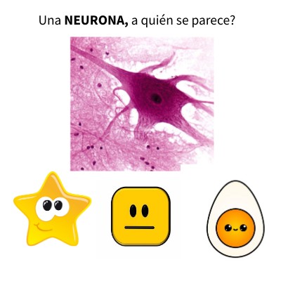 FORMAS CELULARES | Genially