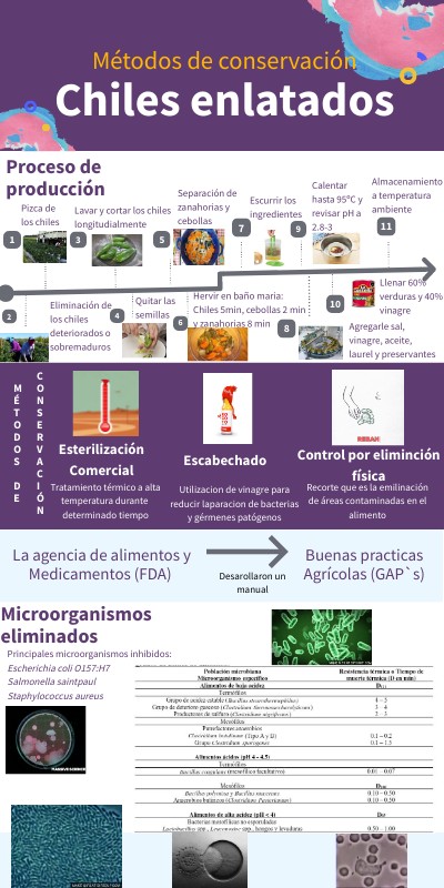 Metodos de conservacion | Genially