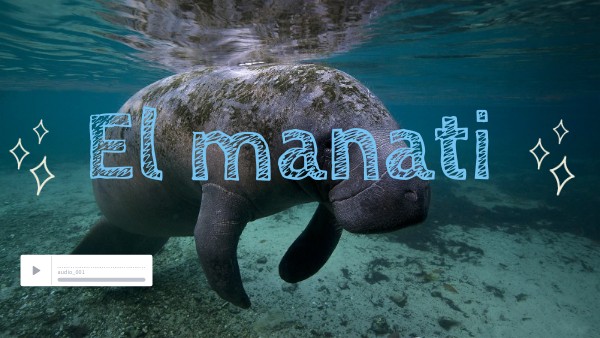 El manati | Genially