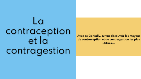 Contraception et contragestion | Genially