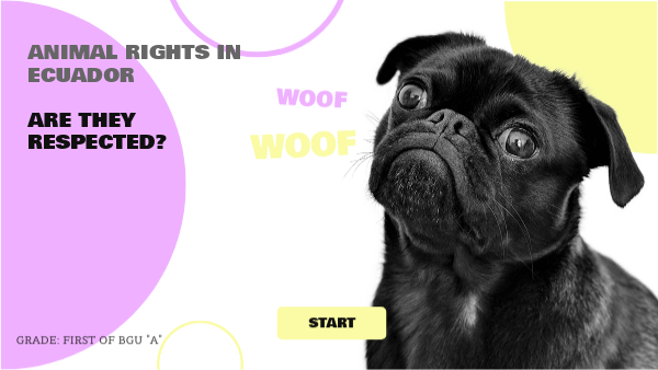 Animal Rights | Genially