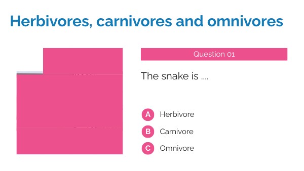 Herbivores, carnivores and omnivores quiz | Genially