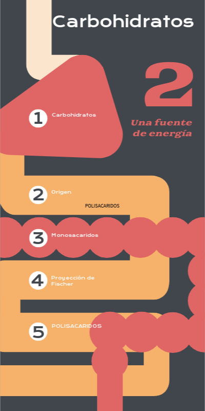 once tema 2 cuarto | Genially