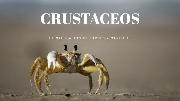 Crustaceos | Genially
