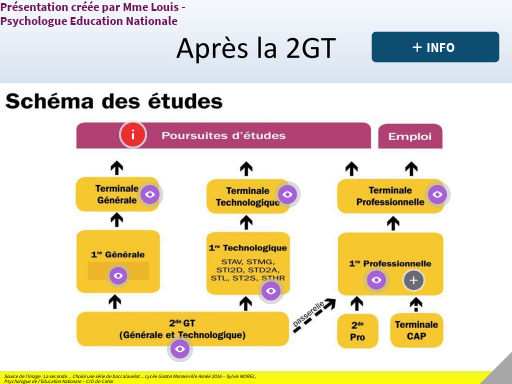 Schéma des études après la 2GT | Genially